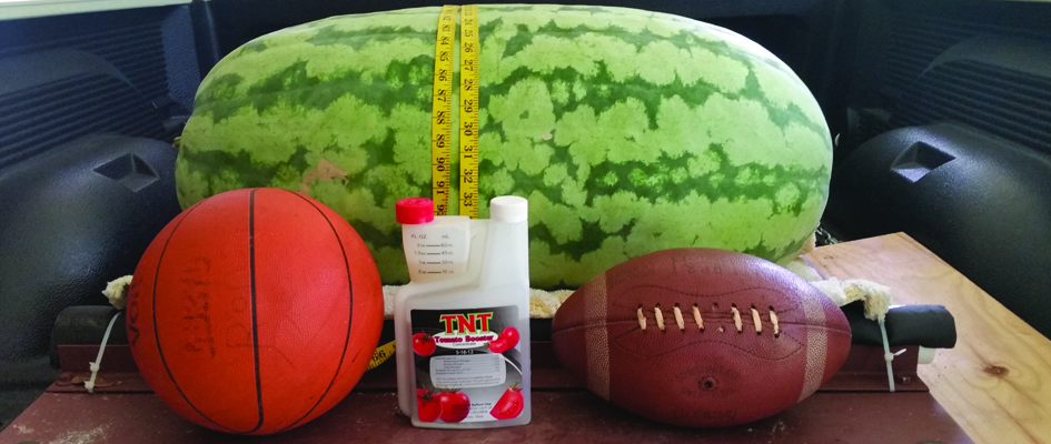 TNT Tomato Booster | Sanco Industries