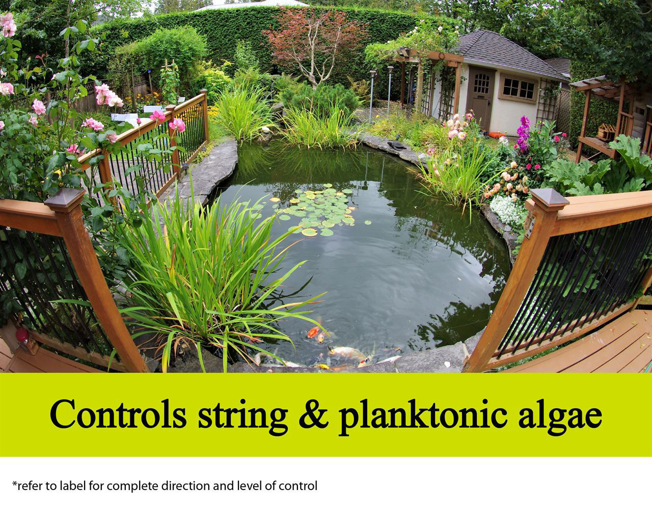 Green X Pond Algae Control | Sanco Industries | Sanco Industries