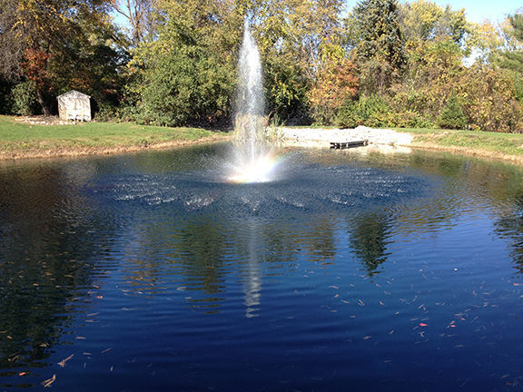 Blue Pond Dye- High Quality, Long Lasting, Safe for Fish! | Sanco ...