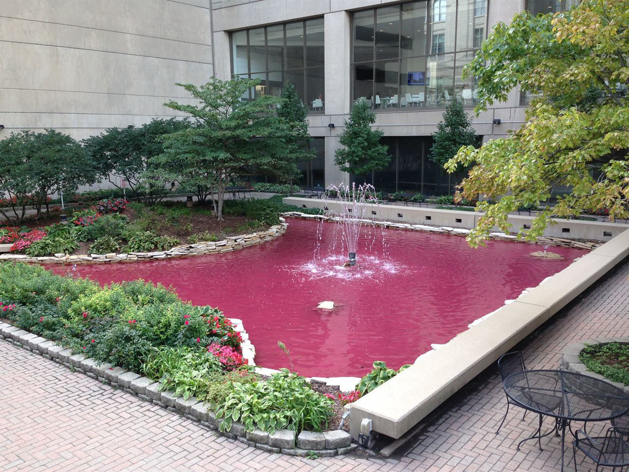 Pink Water Dye | Sanco Industries