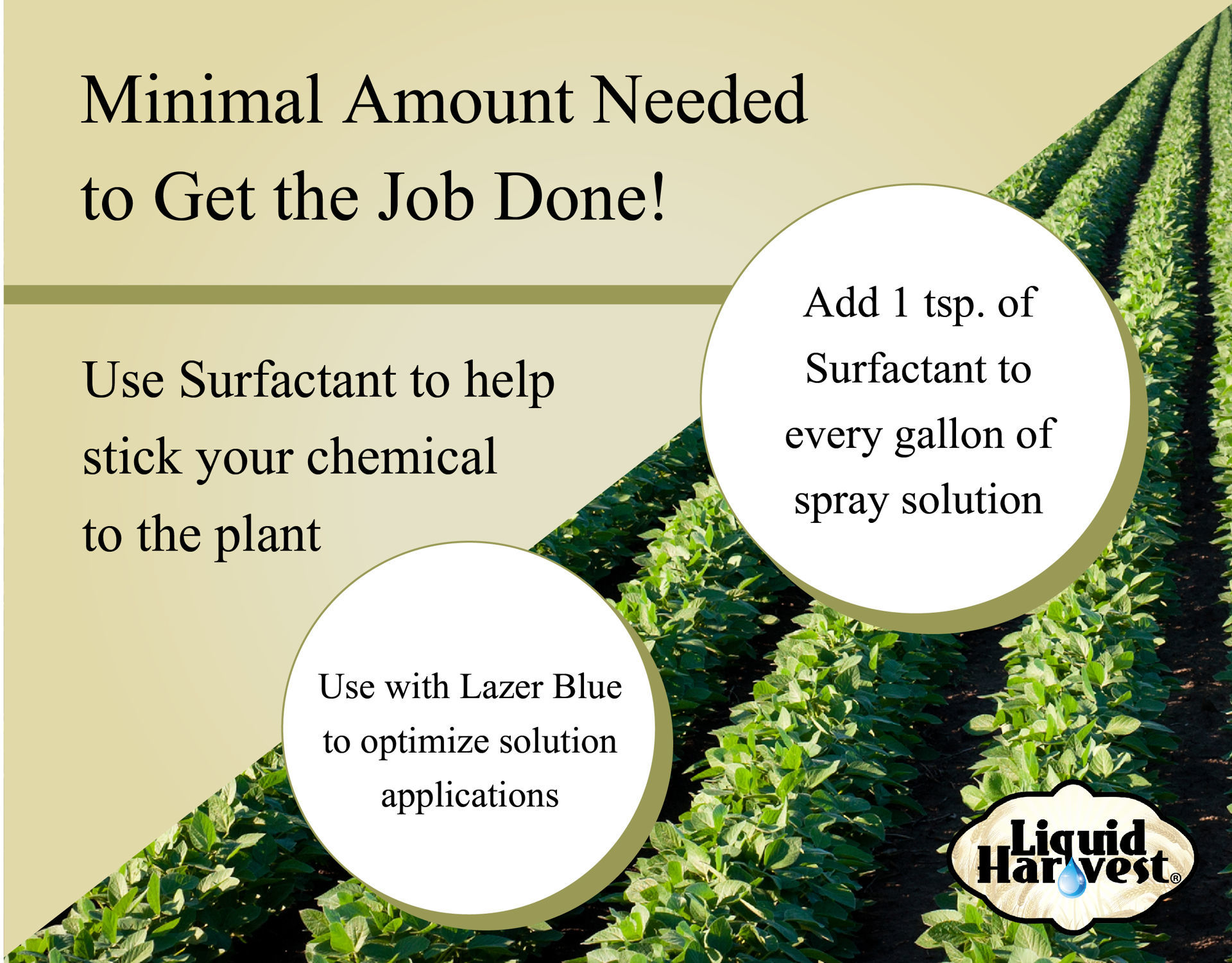 Liquid Harvest: Surfactant | Sanco Industries | Sanco Industries