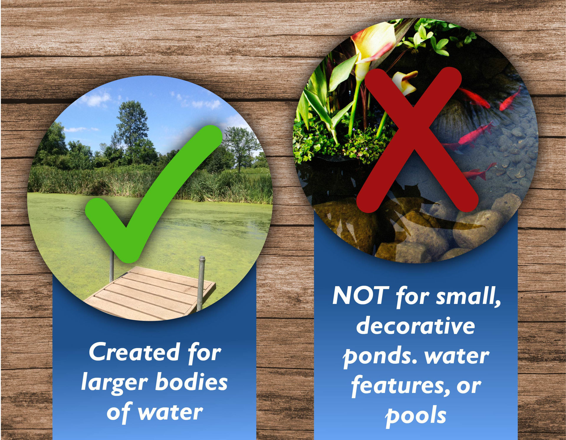 Granular Pond Algae Control | Sanco Industries