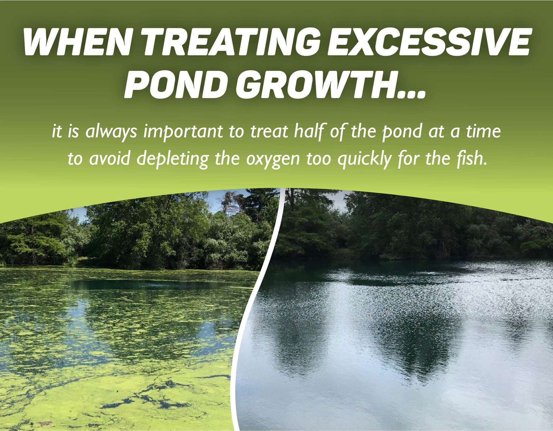Liquid Pond Algae Control | Sanco Industries