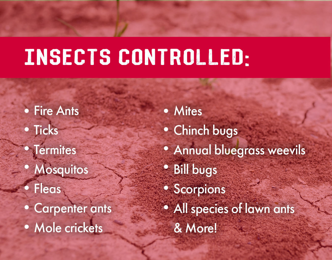 Pro Indoor & Outdoor Insect Control | Sanco Industries