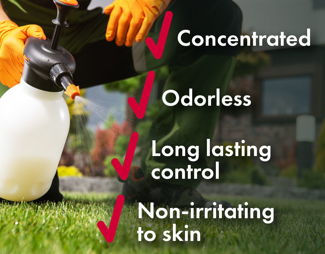 Pro Indoor & Outdoor Insect Control | Sanco Industries