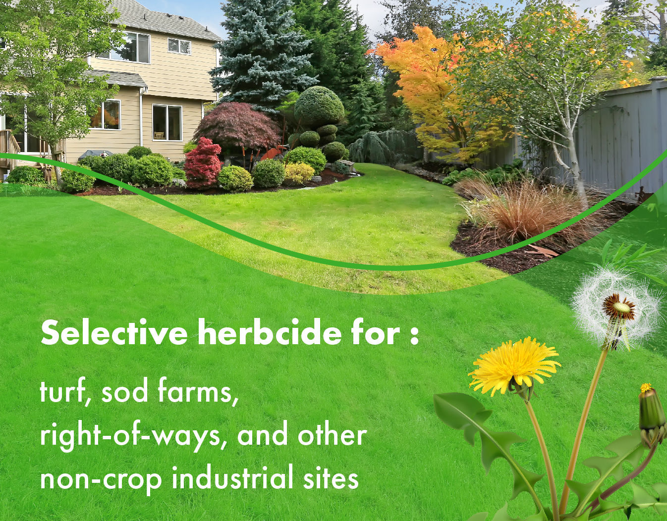 Lawn Weed Killer | Sanco Industries