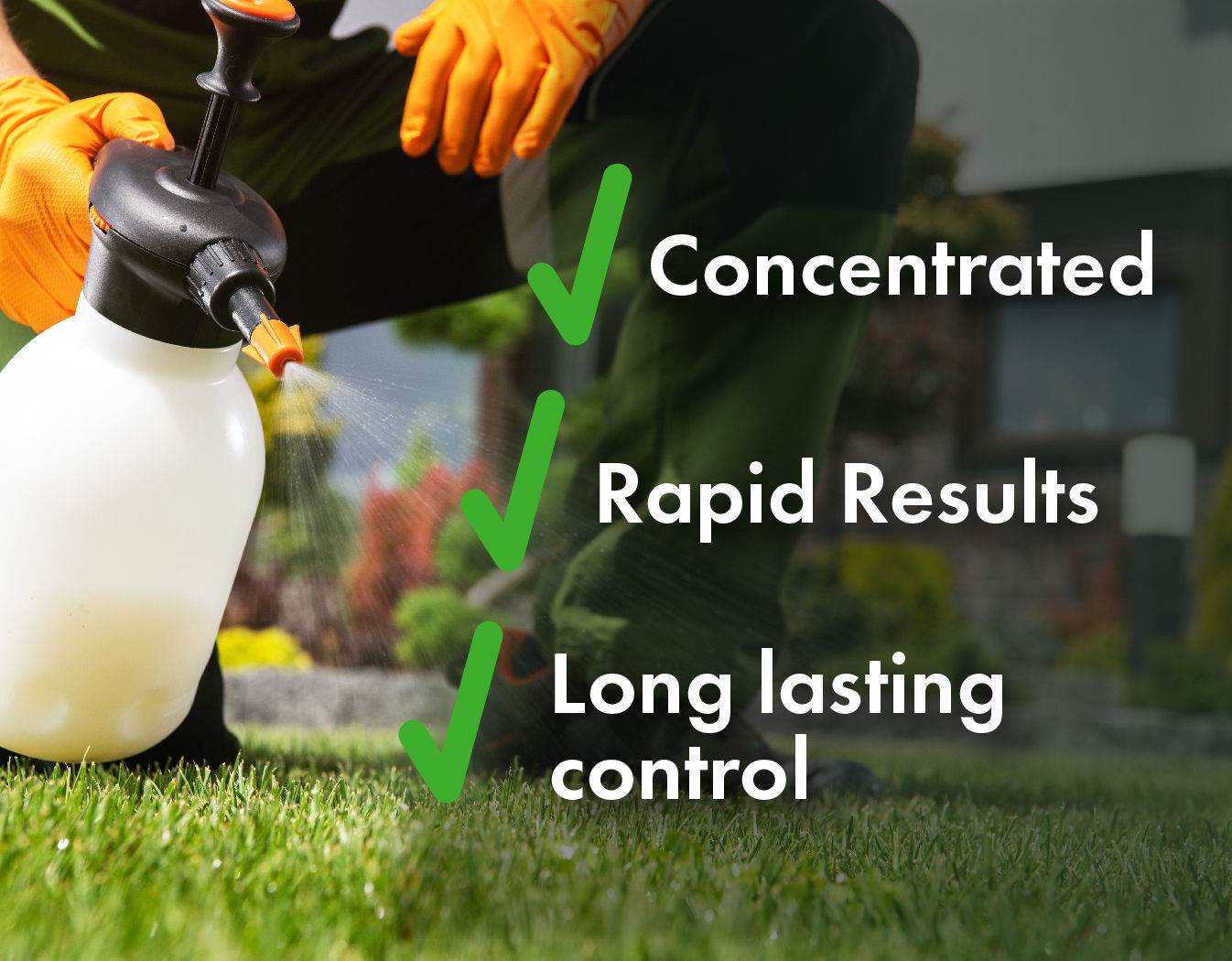 Lawn Weed Killer | Sanco Industries