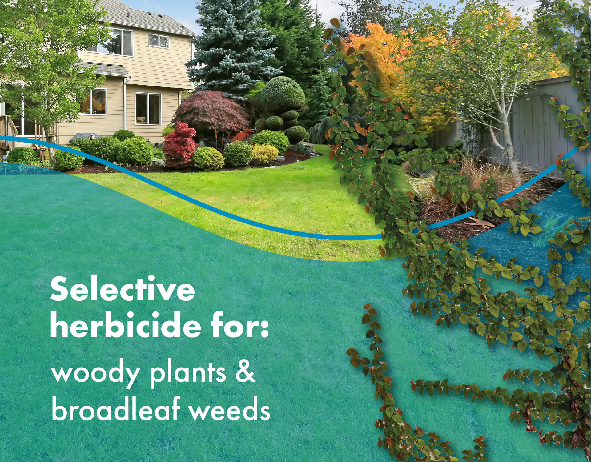 61.6% Triclopyr | Sanco Industries