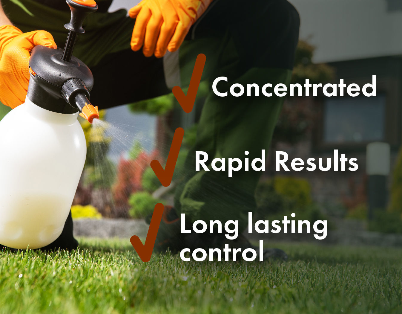 Pro Grub Control | Sanco Industries