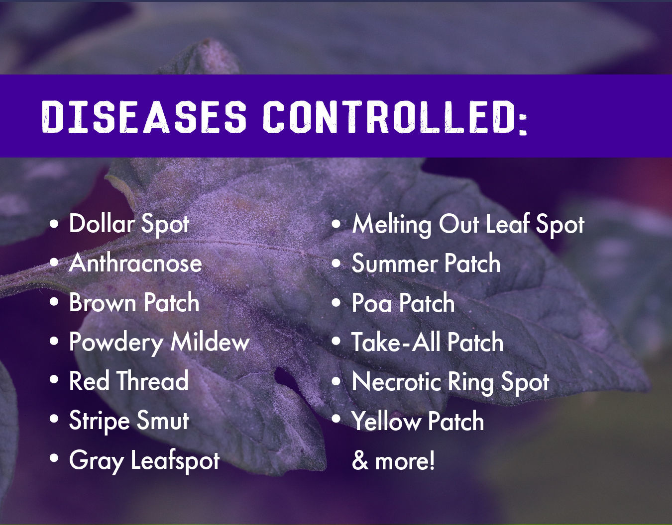 Pro Broad Spectrum Disease Control | Sanco Industries