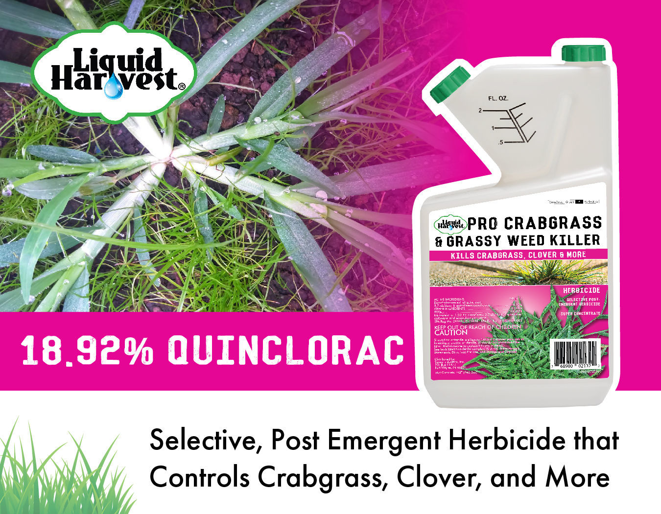 Pro Crabgrass & Grassy Weed Killer | Sanco Industries