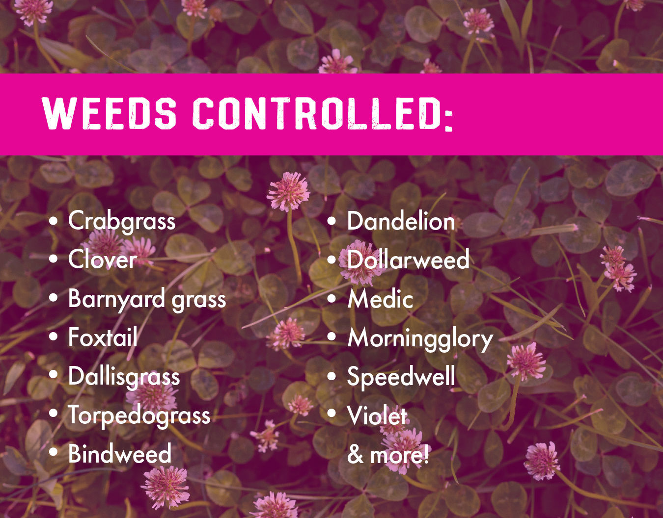 Pro Crabgrass & Grassy Weed Killer | Sanco Industries